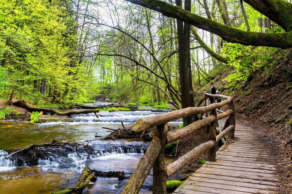 The Most Beautiful National Parks In Poland RFXR
